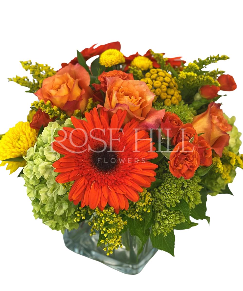 Citrus Splash | Rose Hill Flowers Nashville TN